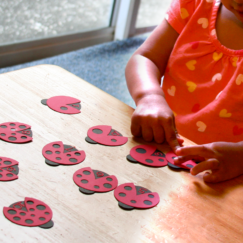 Ladybug Counting Game-SVG/Printable PDF – Designed by Geeks